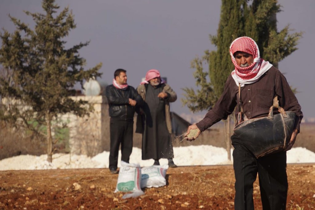 Income Generating Farming (Jordan) - United Mission for Relief and ...