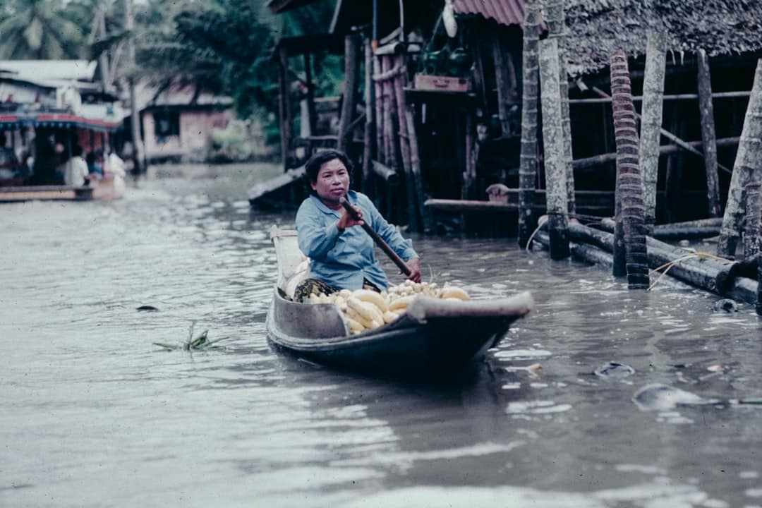 Climate Resilient Livelihoods: 2025's Ultimate Hope